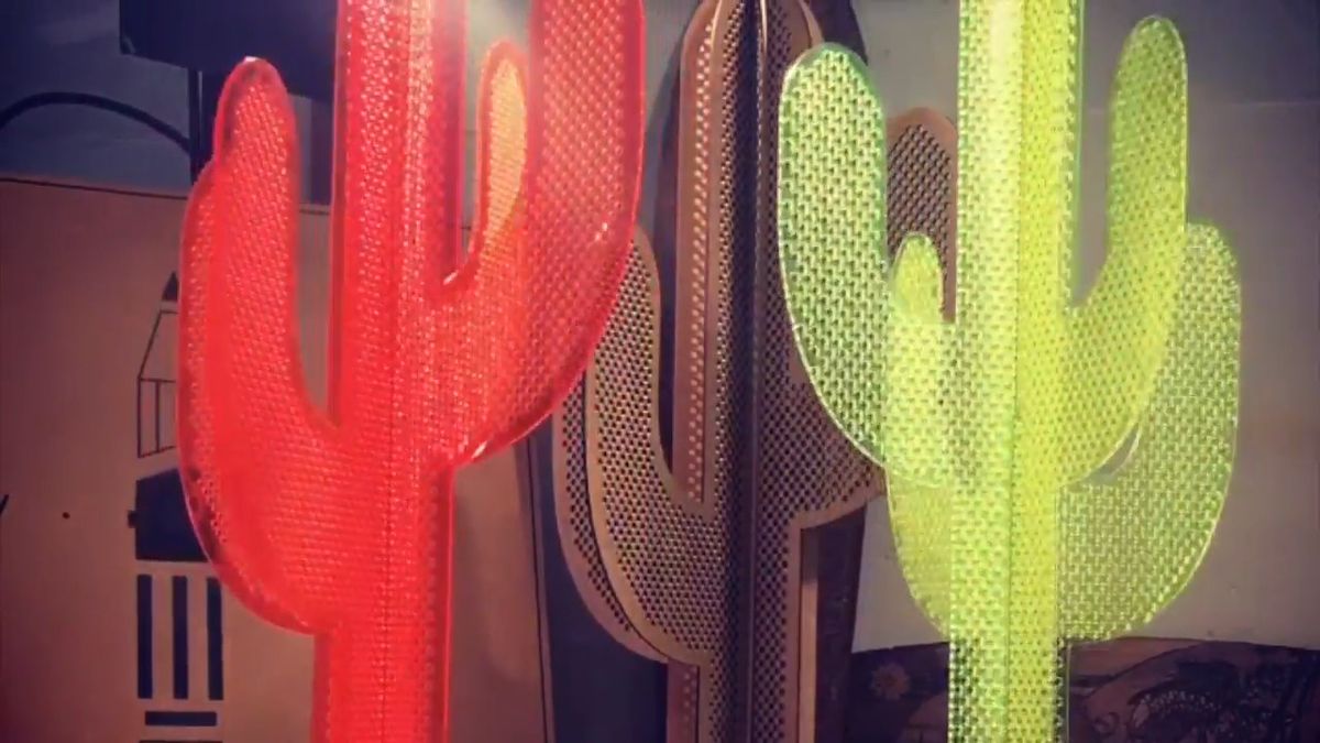 Marcus le Cactus by Crayon Laser — Wikifab