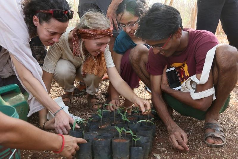 Tree planting (Aranya Agricultural Alternatives method) — Wikifab